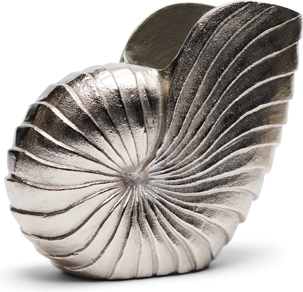 Riviera Maison Sculptuur Beeld Zee Schelp, Zomer Deco - RM Shell Deco ...