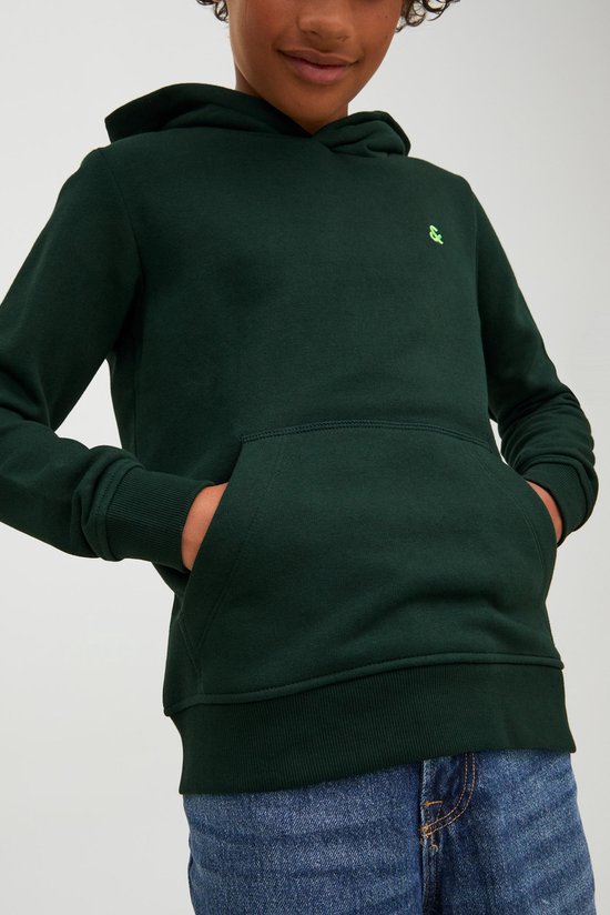 Jack & Jones Junior Trui Jjestar Roof Sweat Hood Noos Jnr 12213100 Pine ...