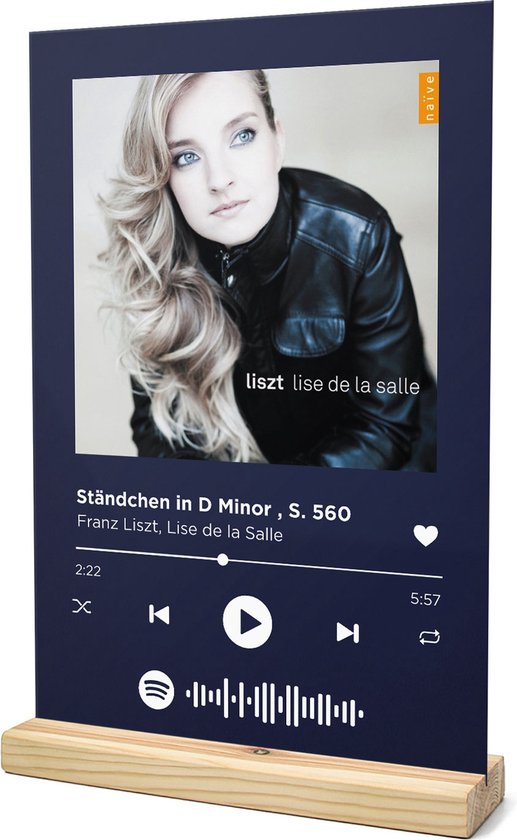 Songr Spotify Muziek Bordje - Ständchen in D Minor , S. 560 - Franz ...