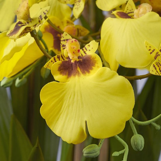 Kunstplant wilde Orchidee 6-tak geel H60cm - HTT Decorations ...
