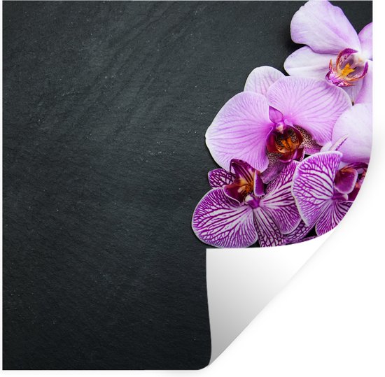 Muurstickers - Sticker Folie - Orchidee - Bloemen - Roze - Flora - 80x80 cm -... | bol.com