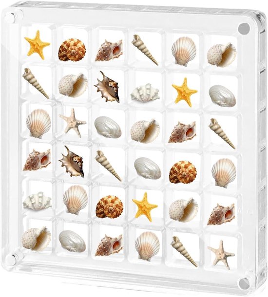 36-Way Acrylic Shell Display Box - Transparent Shells, Magnetic Closure ...