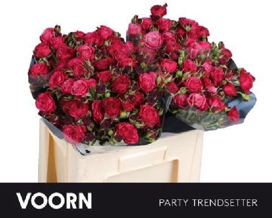 10x Rosa party trendsetter 50cm | bol