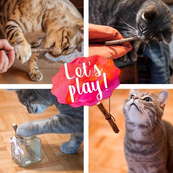 5 x Matatabi tandverzorging sticks van hout voor katten - natuurlijke ...