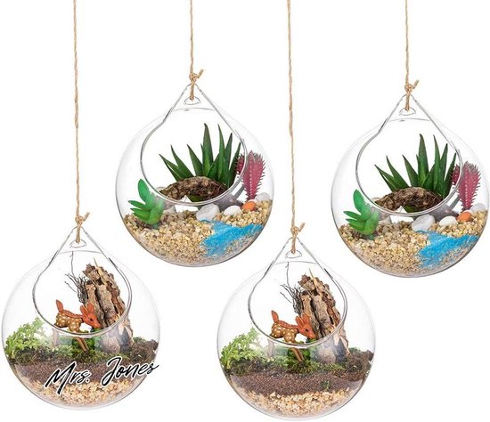 Mrs. Jones Collection Hangende Glazen Bollen Terrarium - Vetplanten ...
