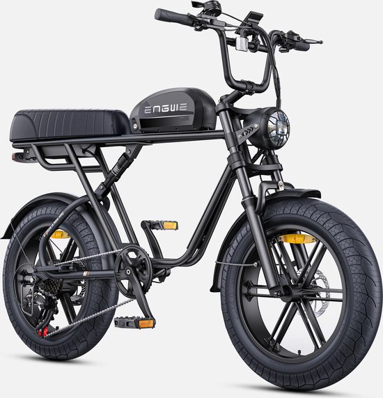 ENGWE M1 elektrische fiets, 250W motor, 48V 15.6Ah accu, 20*4.0 inch ...