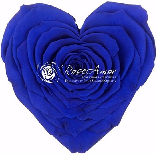 Blauwe geconserveerde roos hart vorm | bol