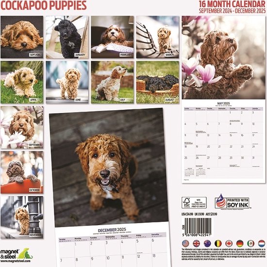 Cockapoo Kalender 2025 Puppies | bol