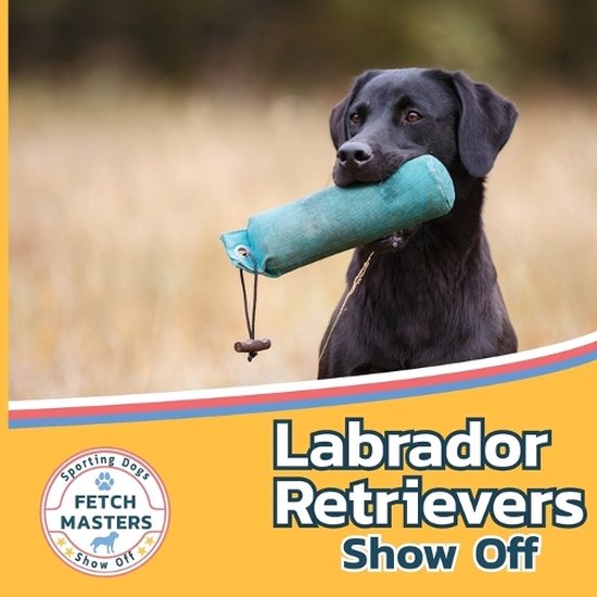Fetch Masters: Sporting Dogs Show Off- Labrador Retrievers Show Off ...