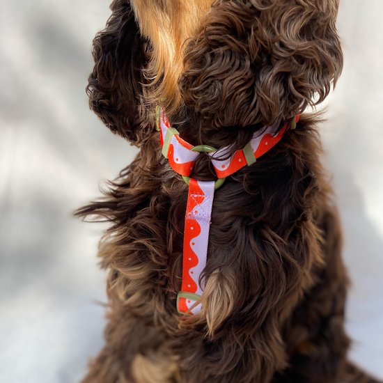 Harnas wavy Yin Yang oranje/lila | bol