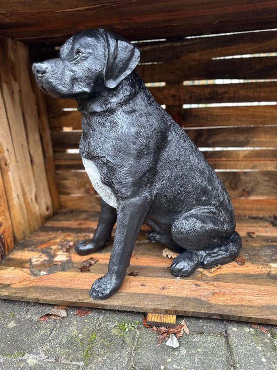 Goodyz- Huisdieren - Honden - Labrador - super leuk beeld - zittend - 70cm hoog -Zwart | bol