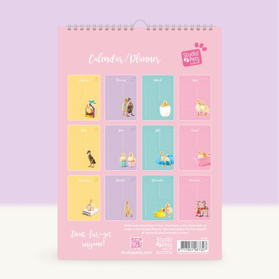 Studio Pets® A4 Baby Eendjes Verjaardag Kalender Maandplanner! | bol