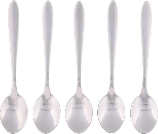 6 Stuks - Theelepels - Dessertlepel - Theelepel - RVS - Lepel | bol.com