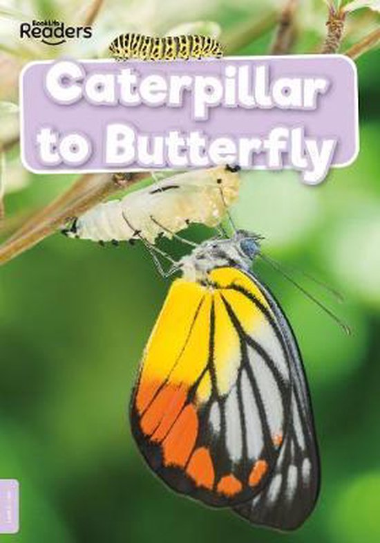BookLife Non-Fiction Readers- Caterpillar to Butterfly | 9781839278938 ...