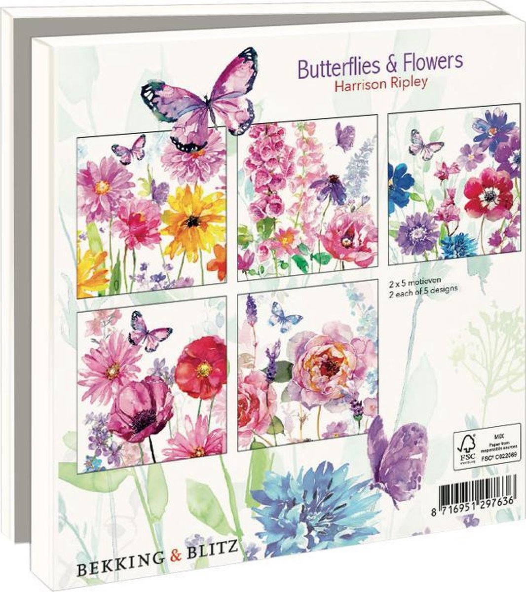 Bekking & Blitz - Wenskaartenmapje - Set wenskaarten - Kunstkaarten - Museumkaarten -... | bol.com