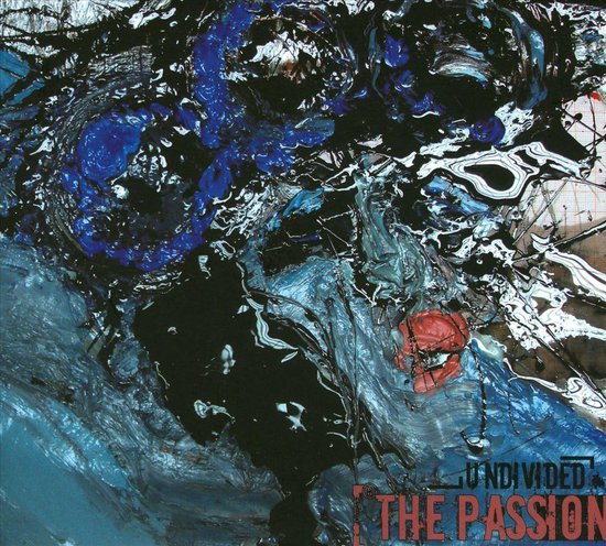 Passion, Undivided | CD (album) | Muziek | bol