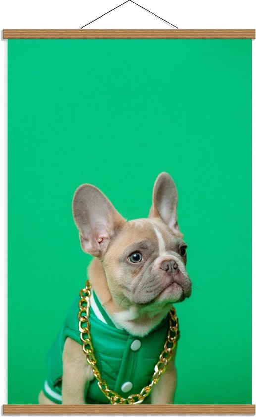 Schoolplaat – Hond met Groen Pakje en Ketting - 60x90cm Foto op ...