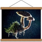 Schoolplaat – Eenzame Appel op de Grond - 40x30cm Foto op Textielposter ...