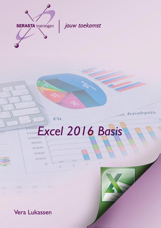 Excel 2016 basis | 9789491998201 | Vera Lukassen | Boeken | bol