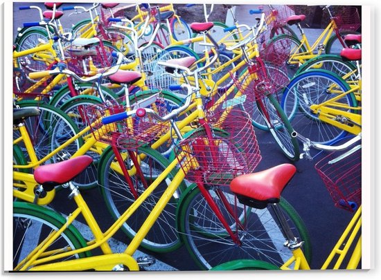 Acrylglas –Fiets op Asfalt met Blaadjes-50x50 (Met ophang) | bol.com