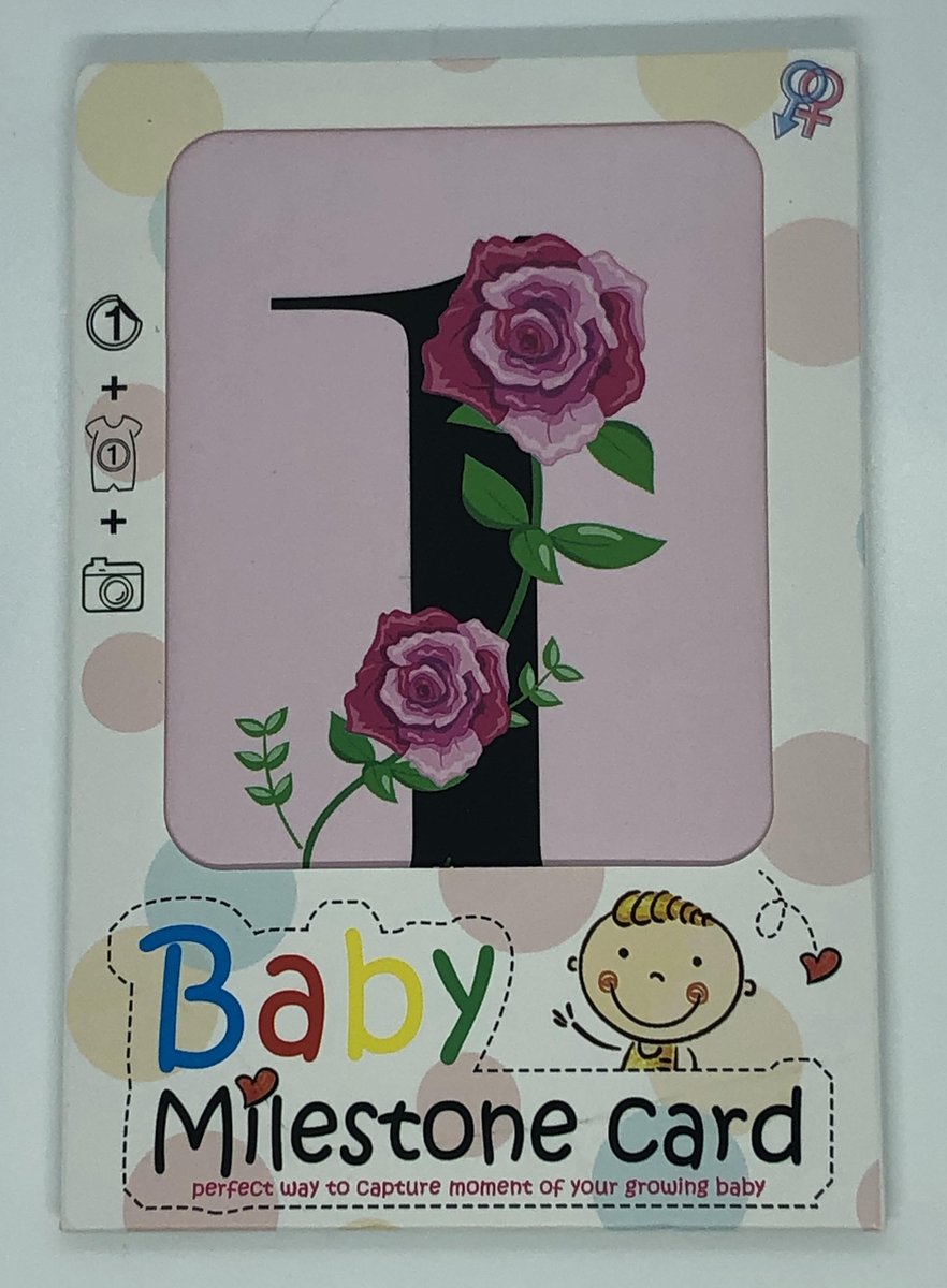 Milestone Cards - baby foto kaart - mijlpaal kaarten 1 maand tot en met ...