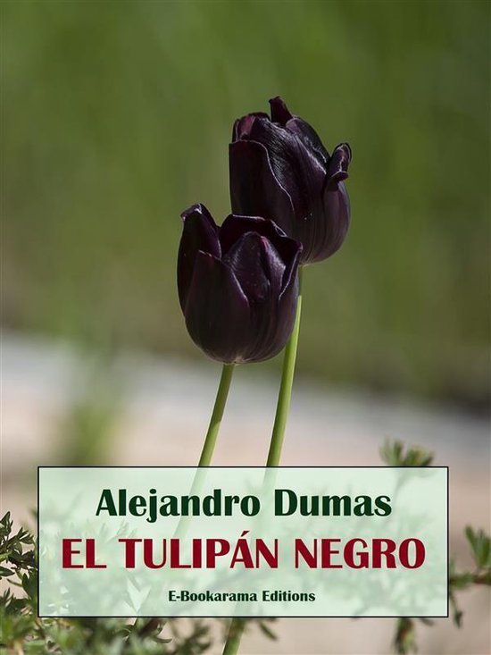 E-Bookarama Clásicos - El tulipán negro (ebook), Alejandro Dumas | 9788827563168 | Boeken | bol