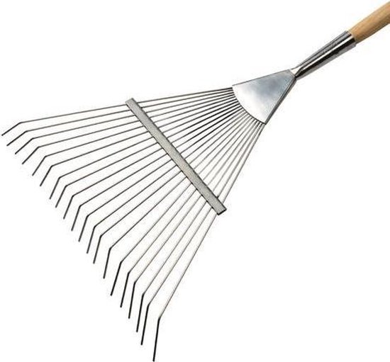 Bladhark / Grashark - RHS | bol