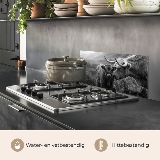 Spatscherm 70x30 cm - Zelfklevende achterwand Schotse hooglander - Kalf ...