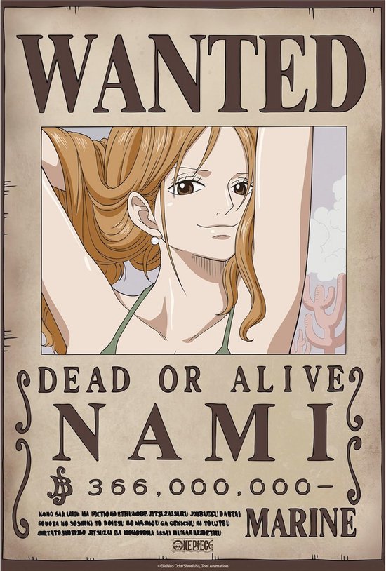 One Piece Nami Wano Muggshot Poster 38x52cm | bol