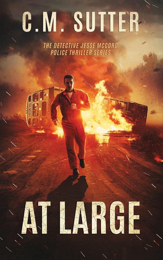 At Large (ebook), C. M. Sutter | 1230003358016 | Boeken | bol.com