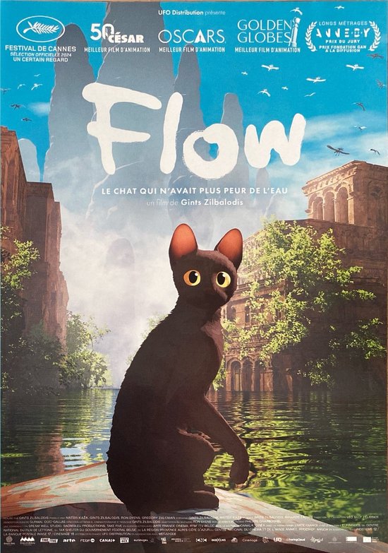 Flow [DVD] (Dvd) | Dvd's | bol
