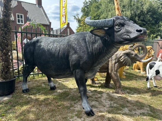 Goodyz- Jungledieren - Buffel - Buffels - Waterbuffel - XXXXL ...