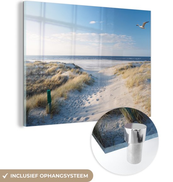 Glasschilderij - Acrylplaat - Meeuw - Zee - Duinen - Wanddecoratie - 120x90 cm - Kamer... | bol