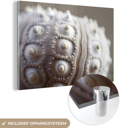 MuchoWow® Glasschilderij 120x80 cm - Schilderij acrylglas - Witte ...