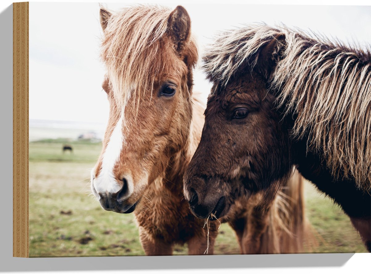Hout - Duo Licht- en Donkerbruine IJslander Paarden in de Wei - 40x30 ...
