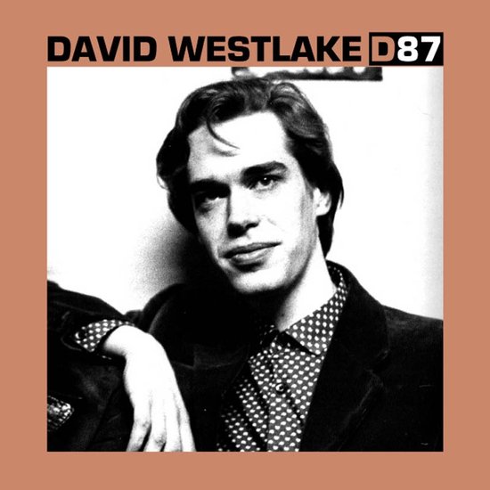 David Westlake - D87 (LP), David Westlake | Muziek | bol