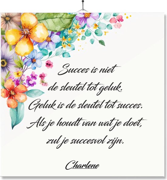 Tegel Met Opdruk | Spreuk | Motivatie | Succes is niet de sleutel tot ...