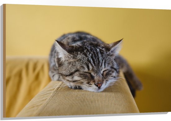 Hout - Liggende Bruine Kat op Leuning van Bank - 120x80 cm - 9 mm dik ...