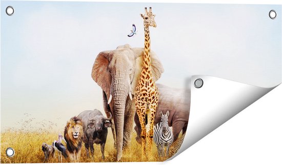 Gards Tuinposter Afrikaanse Dieren op het Gras - Afrika - 60x30 cm ...