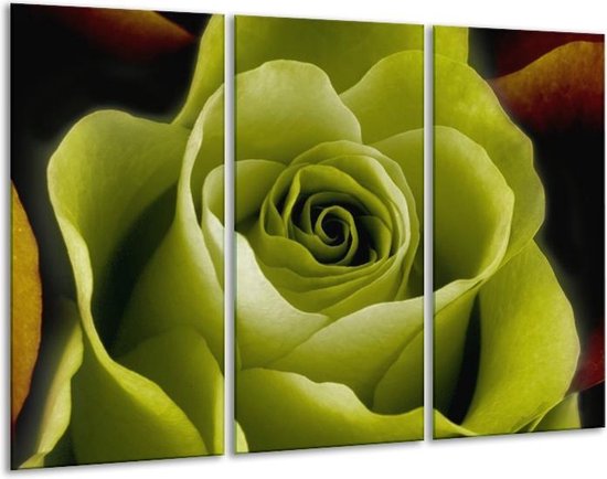 Glasschilderij Roos - Groen, Wit, Zwart - 120x80cm 3Luik - Foto Op Glas ...