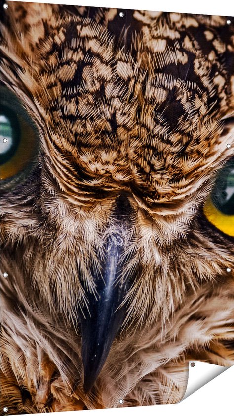 Gards Tuinposter Uilenkop met Gele Ogen - Uil - 100x150 cm - Tuindoek ...