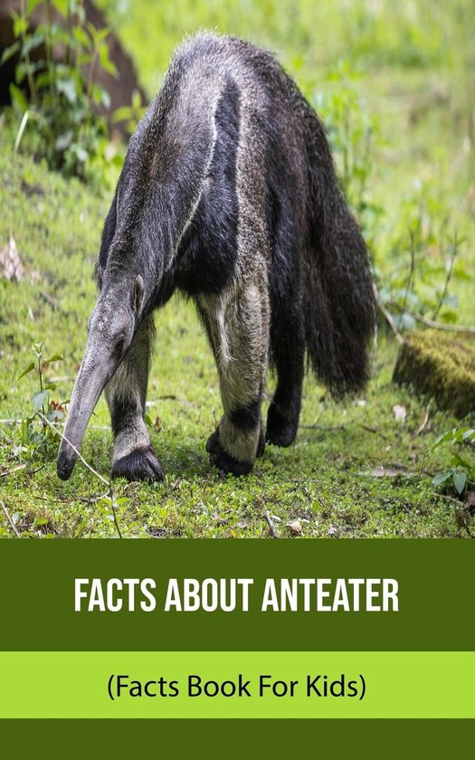 Facts About Anteater (Facts Book For Kids) (ebook), Geneva Linus ...