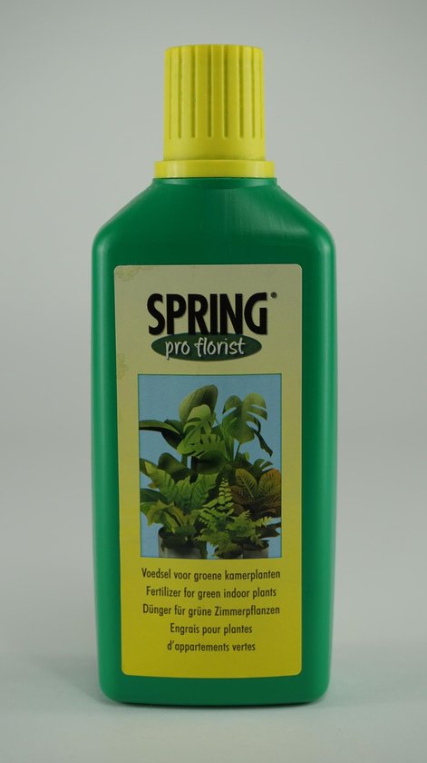 SPRING pro florist - planten voeding - Groene kamerplanten - 500 ml ...