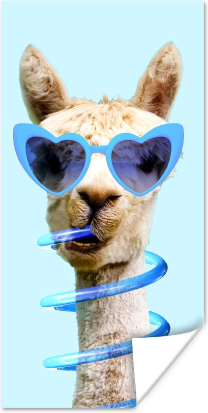 Poster lama - Fotoposter blauw - Lama - Zonnebril - Blauw - Dier ...