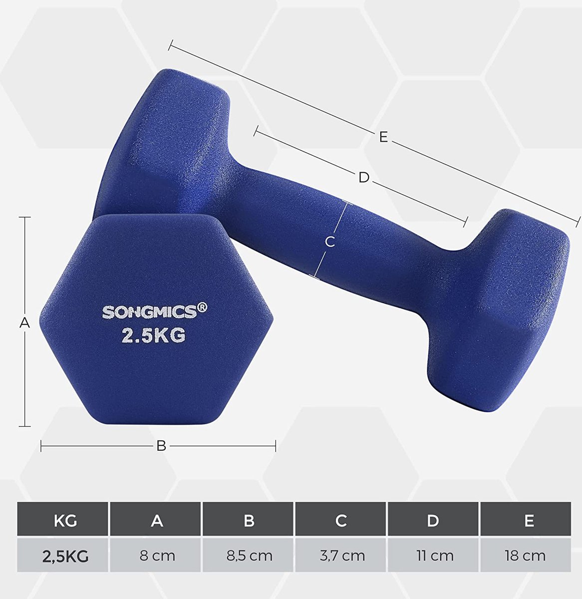 Mira Home Dumbbells Handgewichten Blauw Gietijzer 2 x 2,5 kg | bol.com