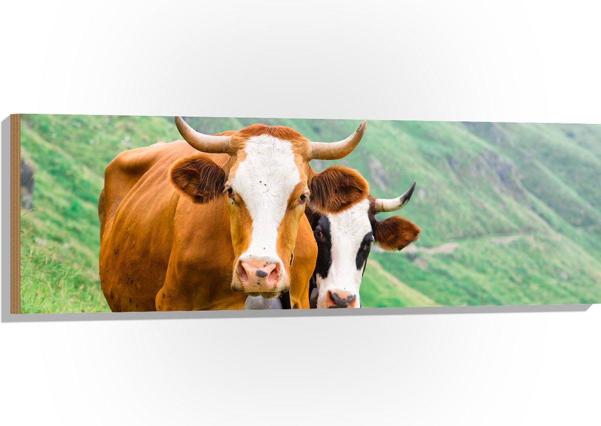 Hout - Twee Koeien met Horens in Begroeid Landschap - 120x40 cm - 9 mm ...