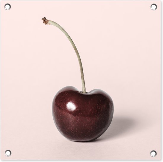 Tuinposters Kers - Fruit - Rood - Stilleven - 50x50 cm | bol.com