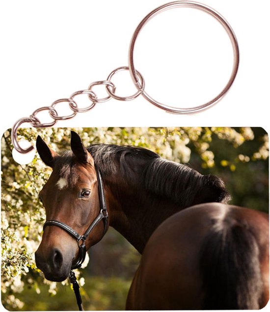 Sleutelhanger 6x4cm - Bruine paard achterom kijkend | bol.com