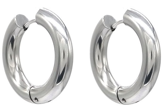 Oorringen - RVS - 2,5 cm - Zilverkleurig | bol.com