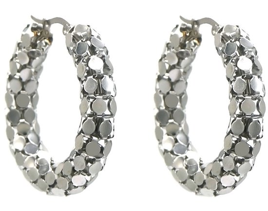 Oorringen - RVS - 4 cm - Zilverkleurig | bol